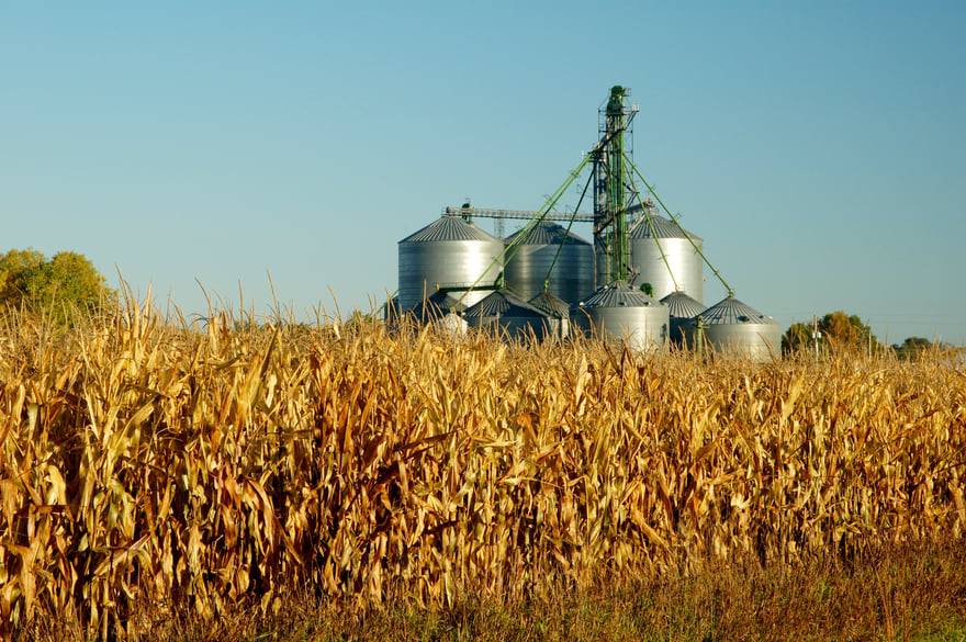 How to Capture the Low-Carbon Biofuels Opportunity
