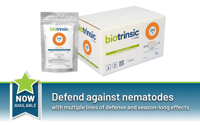 Protect your crops and increase yield | Indigo Biological Solutions