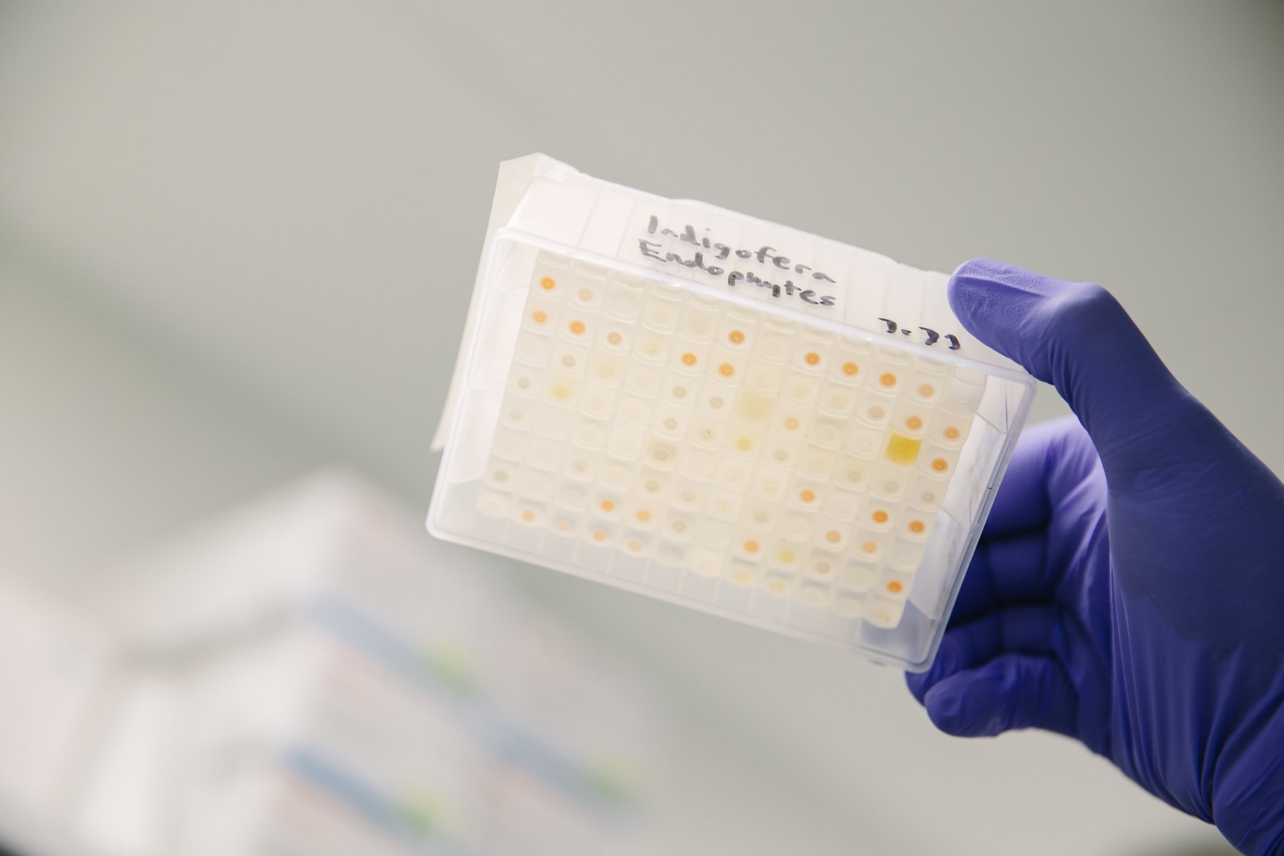 Indigo Biological Science | Indigo Ag