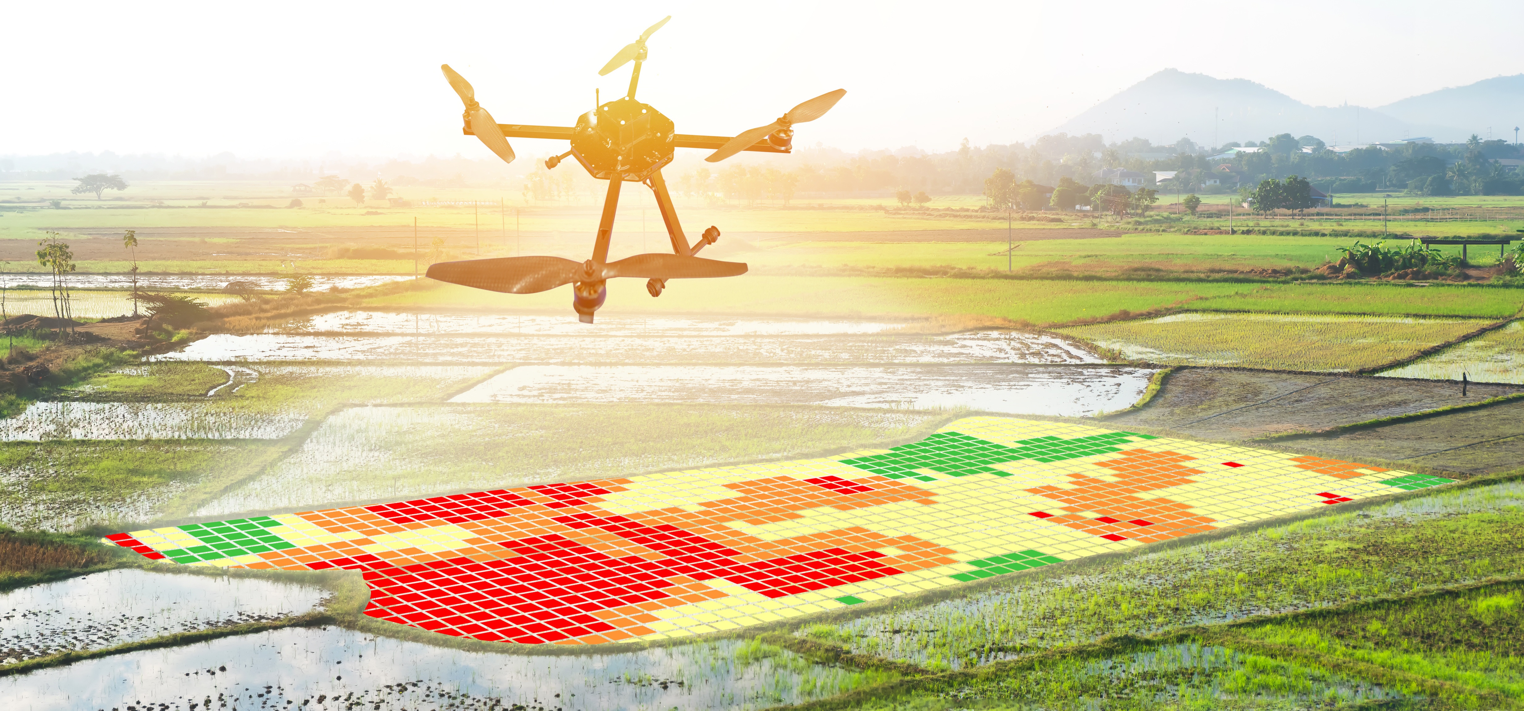 Forbes names Indigo one of the most innovative agtech startups