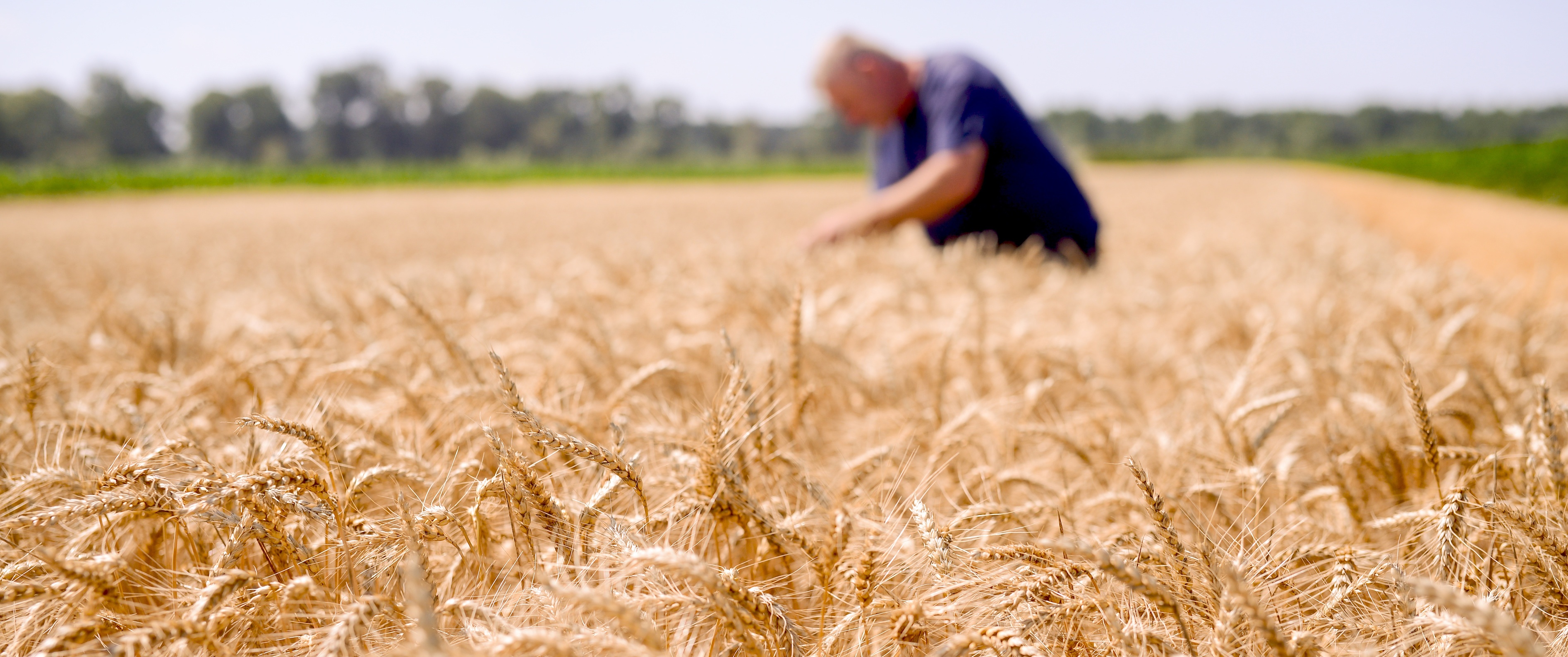 Indigo raises $250M, launches marketplace to help farmers get paid for ...