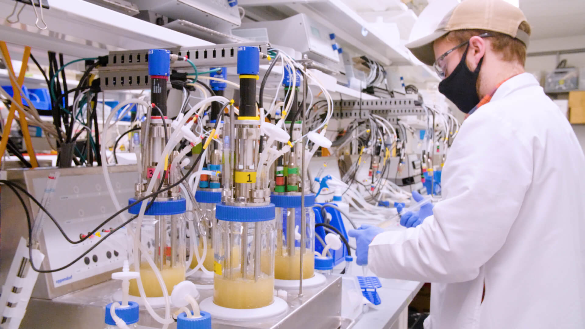 Indigo Ag Accelerates Biological Innovation with Novel Biofungicide