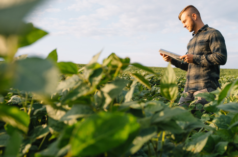 Feel confident in Carbon | Indigo Ag