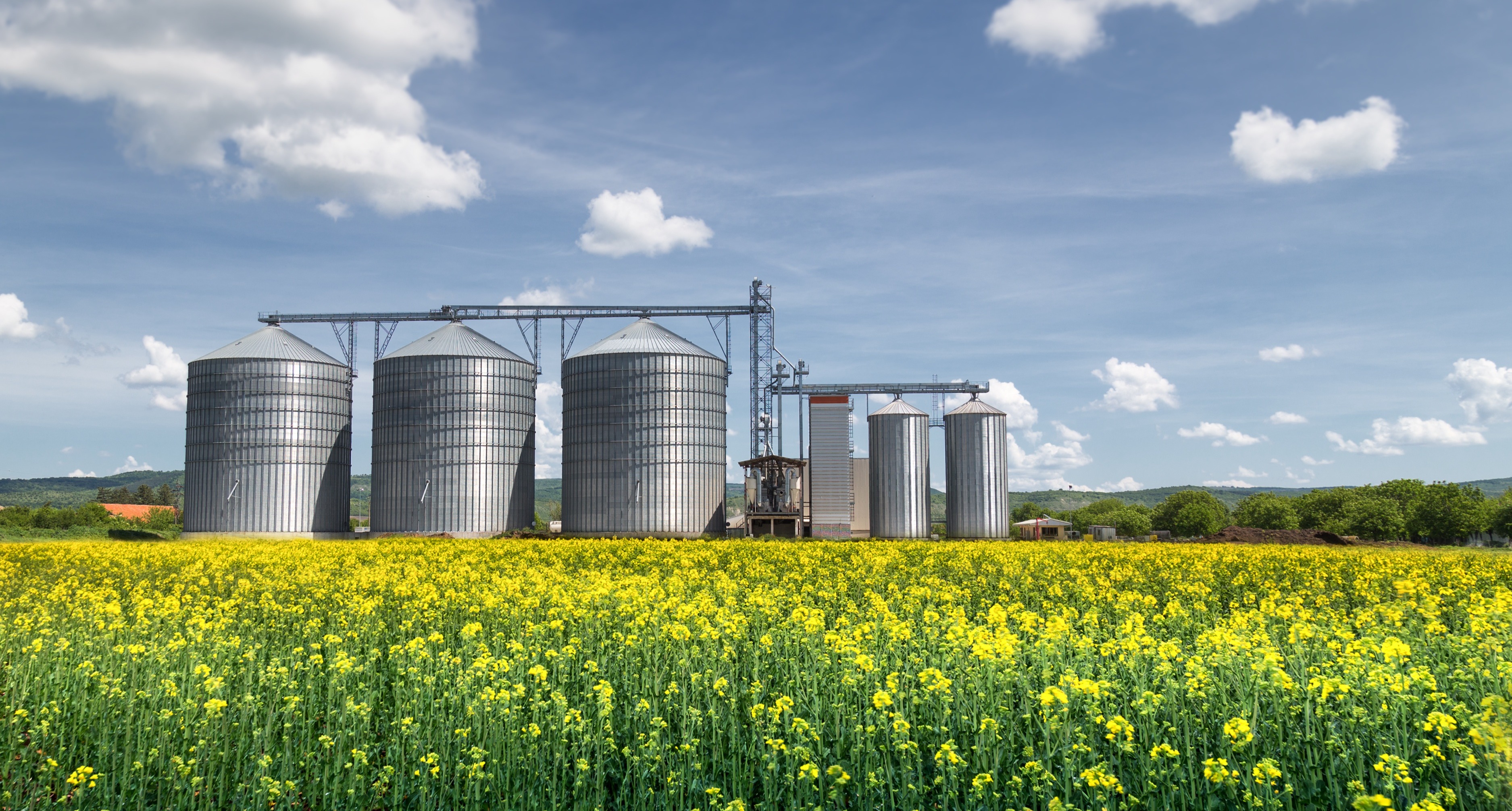 Media Advisory: Indigo Selected to Showcase Science and Technology ...