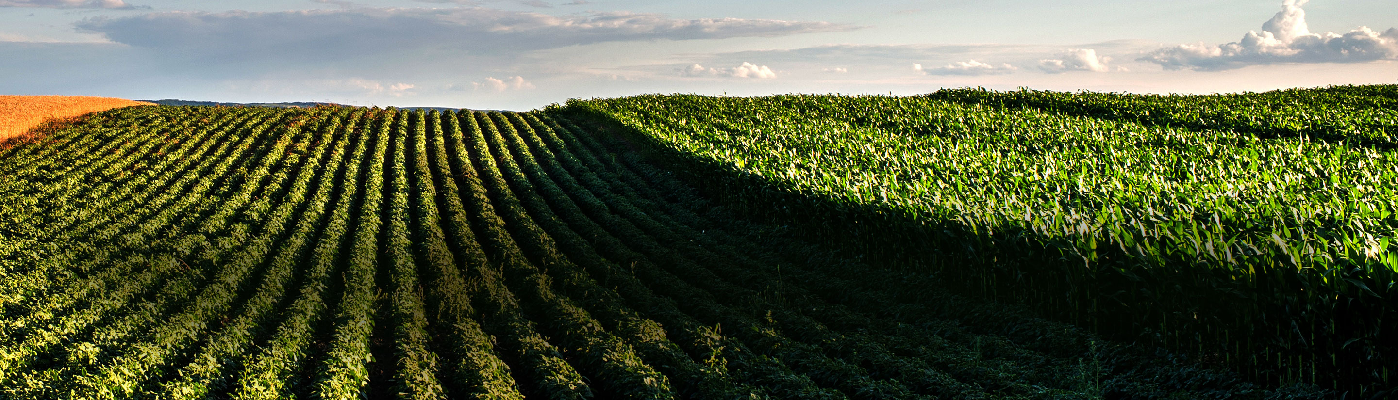 Indigo Ag lands massive new investment as it pushes new farming practices