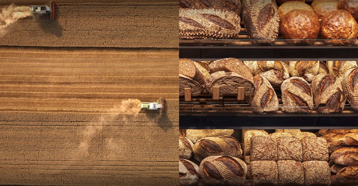 Making Sense of Scope 3 Emissions Targets and Guidance