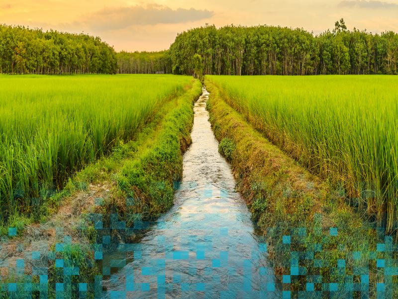 Saving Water in Your Supply Chain