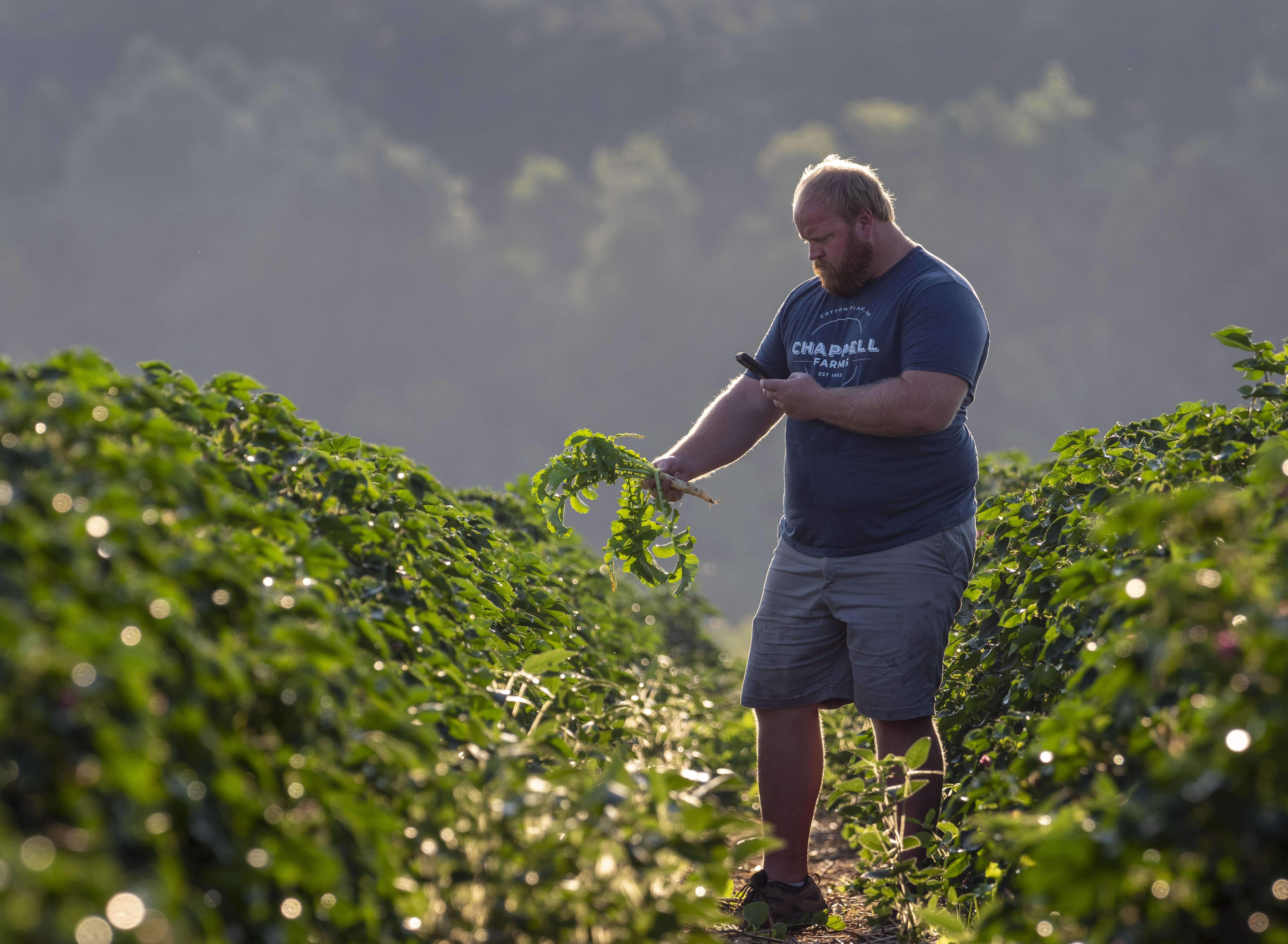 A Farmer's Perspective for Earth Day