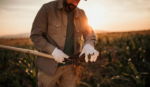 Earn Income with Carbon Farming | Carbon by Indigo