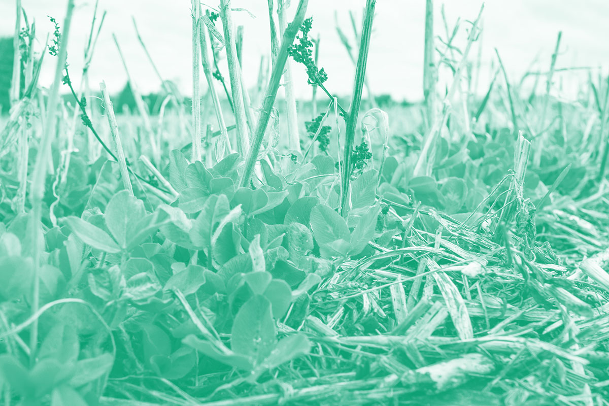 Indigo Ag | Harnessing Nature to Help Farmers Sustainably Feed the Planet