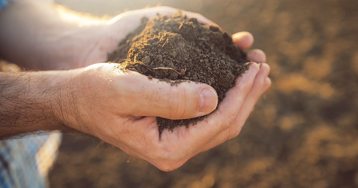 Top Soil Science Journal Publishes Peer Reviewed Paper on Indigo Ag’s ...